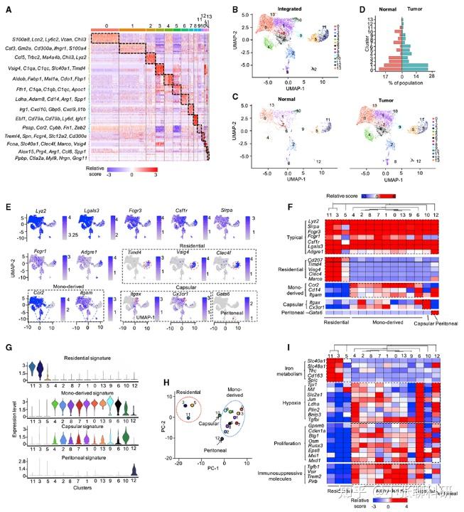 玩出了“新花样”的肿瘤相关巨噬细胞（TAMs）研究 - 知乎