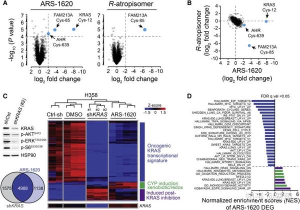 用共价特异性抑制剂ARS-1620靶向KRAS突变癌症 - 知乎