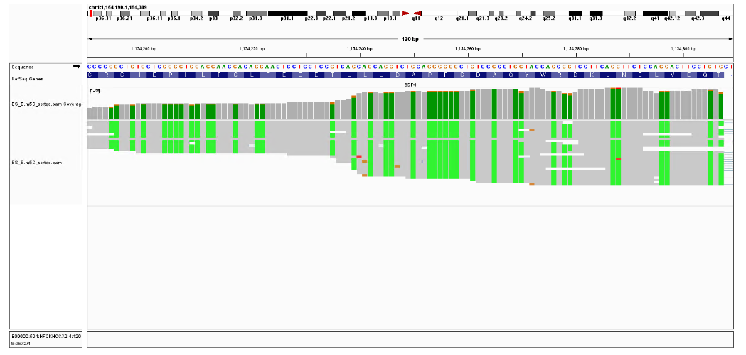 mRNA m5C BS-seq技术服务，绘制单碱基分辨率m5C修饰图谱 - 知乎