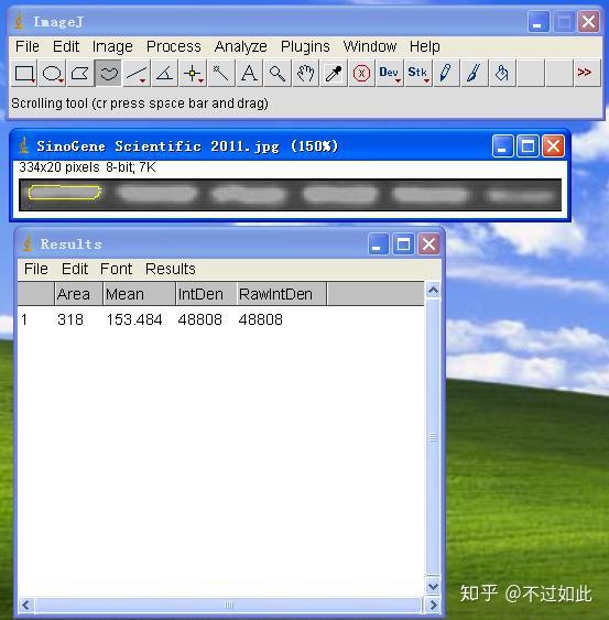 如何用ImageJ进行WB定量？ - 知乎