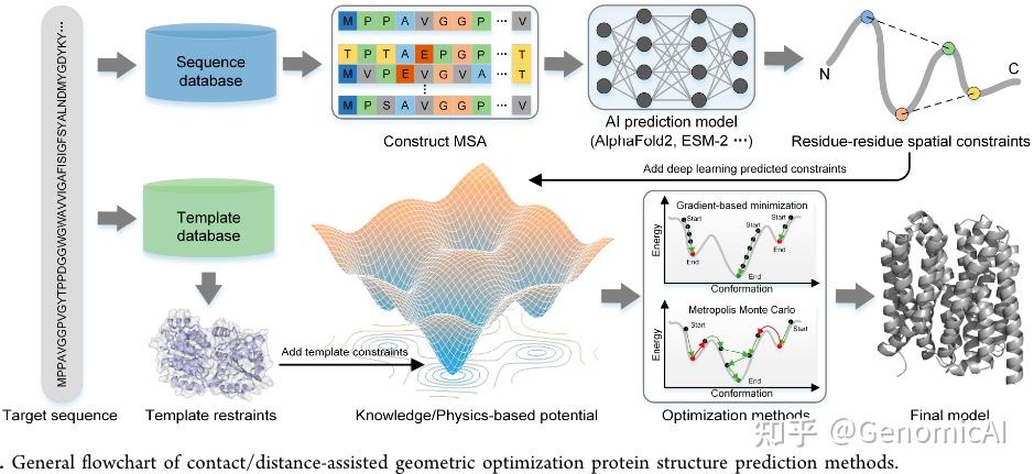 蛋白结构预测进展与挑战[包括抗体] - 知乎