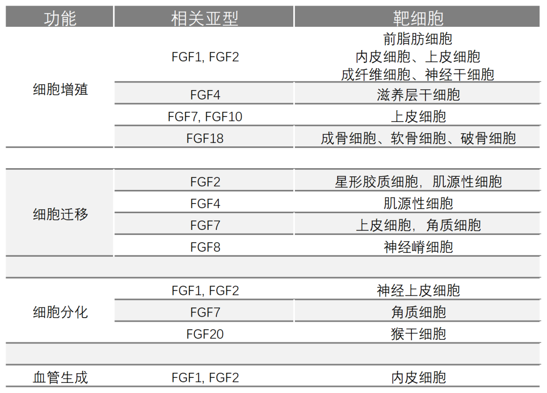 关于成纤维生长因子（FGFs)蛋白家族 - 知乎