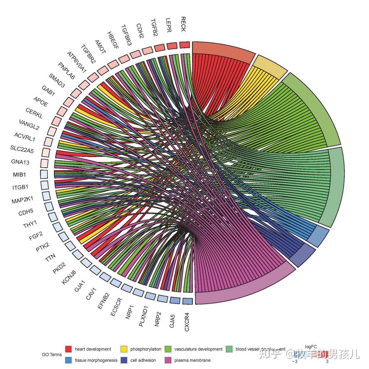 GO富集分析可视化：R语言GOplot包 - 知乎