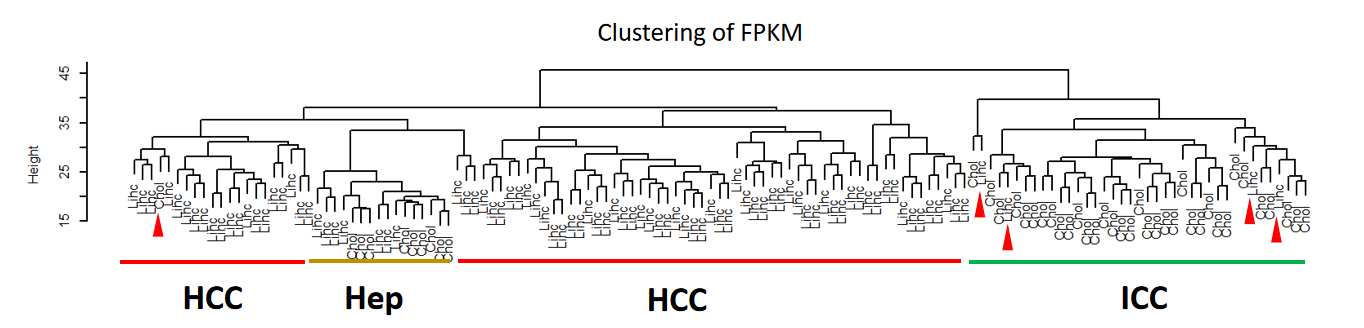 分析展示你的RNA-seq数据，从这里开始 - 知乎