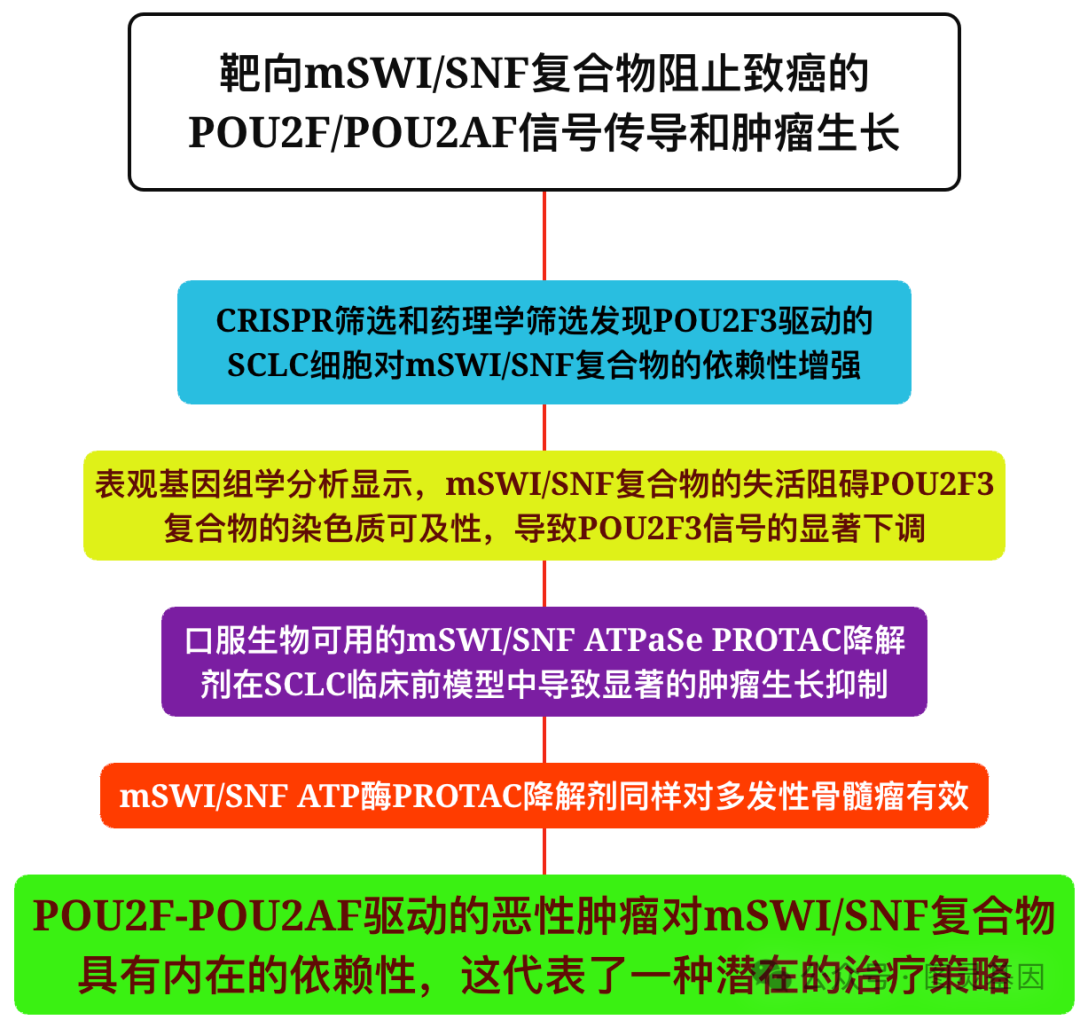 Cancer Cell ｜ 美国院士团队华人一作开发口服mSWI/SNF降解剂阻止肿瘤生长 - 知乎