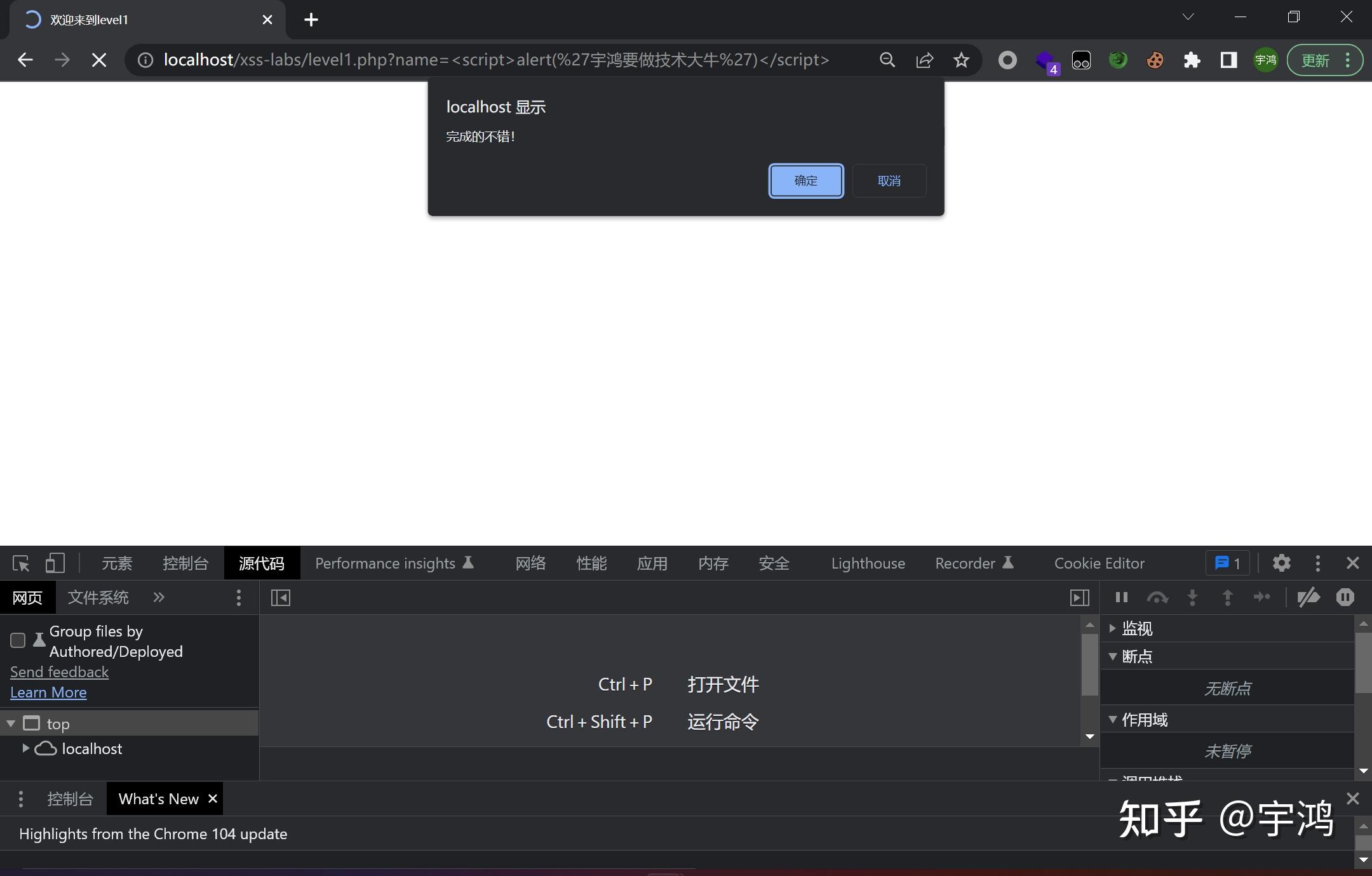 Xss labs xss-labs