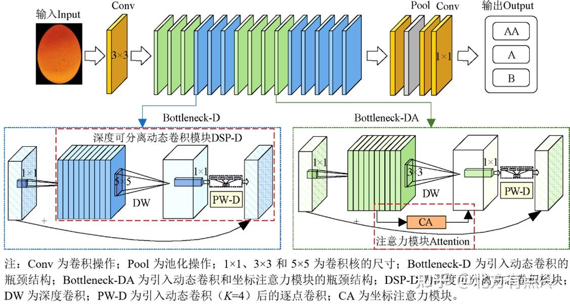 基于 MobileNetV3-Large 的 MobileNetV3-DA 鸡蛋新鲜度识别方法 - 知乎