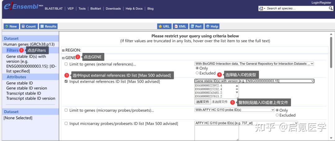 一文教你进行多种ID转换（下） - 知乎