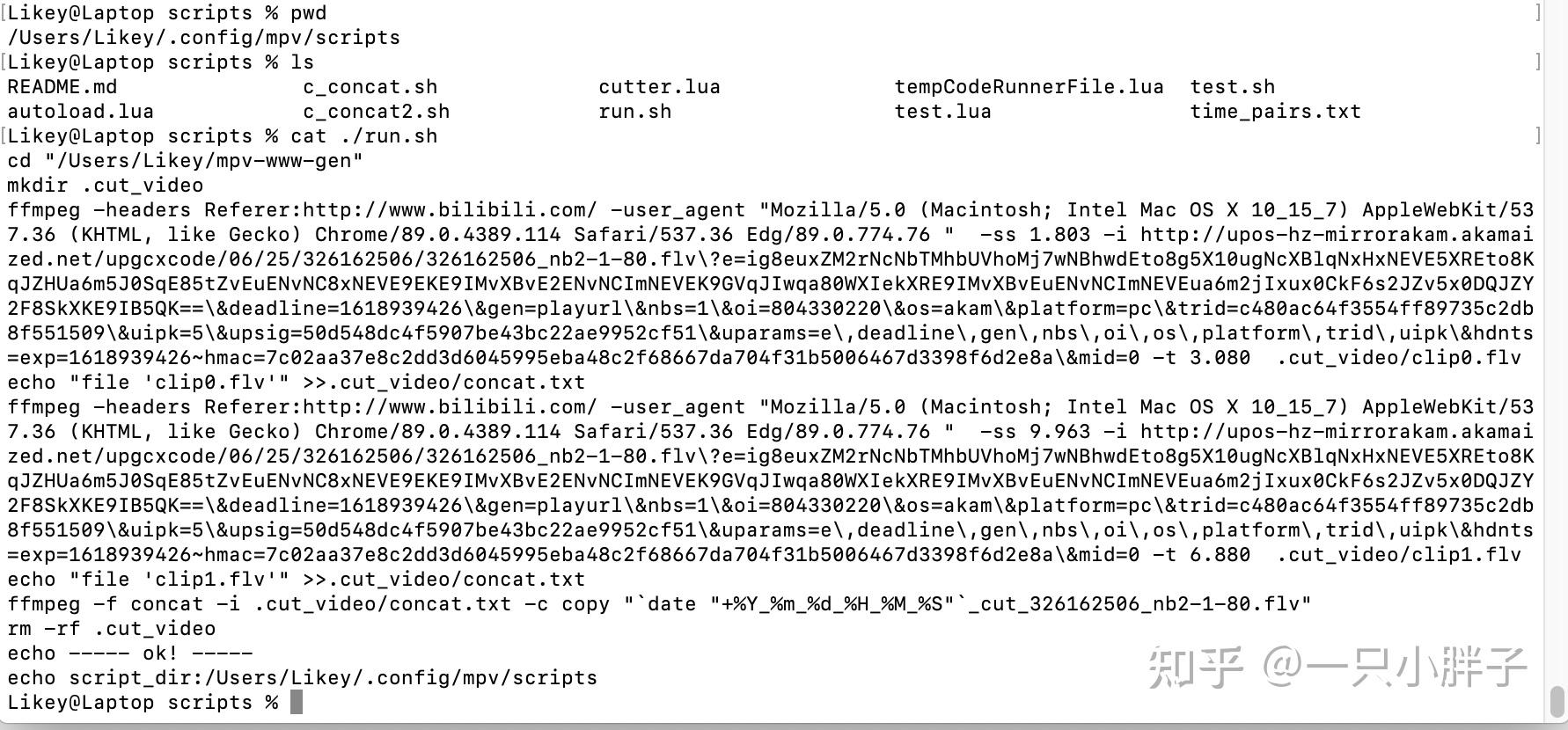 Mpv User Scripts at Christopher Hannan blog