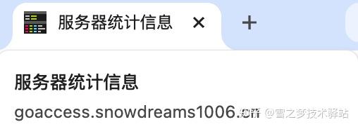 GoAccess修改标题和标签logo - 知乎