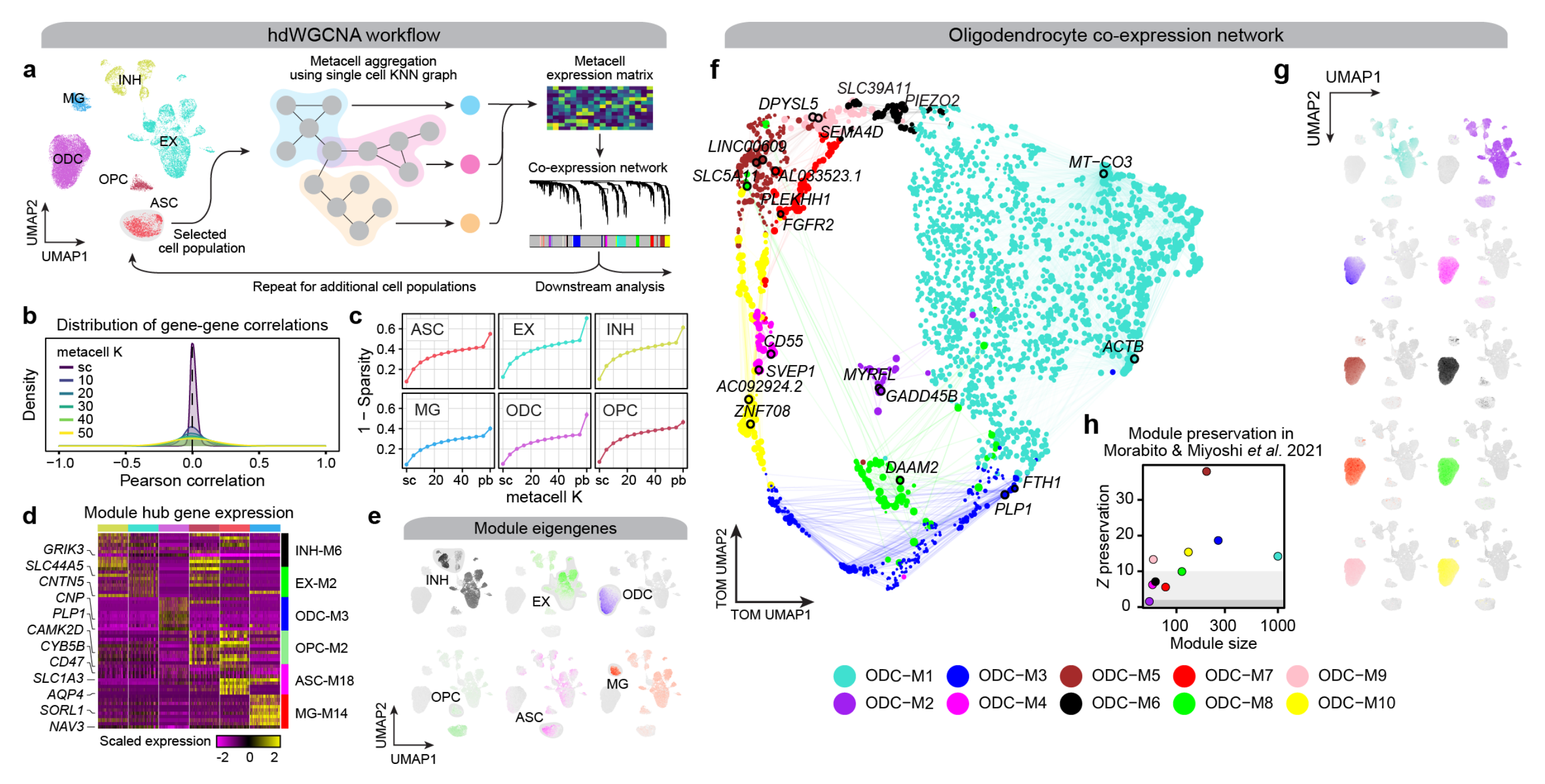 单细胞19.高维WGCNA，当差异分析无效时 - 知乎