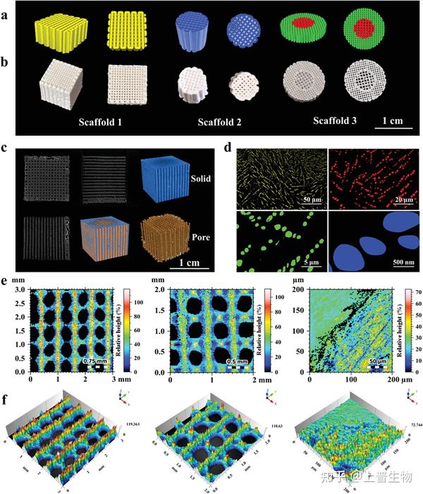大连化物所周光远教授团队利用SUNP BP11低温沉积3D打印含多级孔隙结构且可促进生物矿化的聚芳醚酮骨组织工程支架 - 知乎