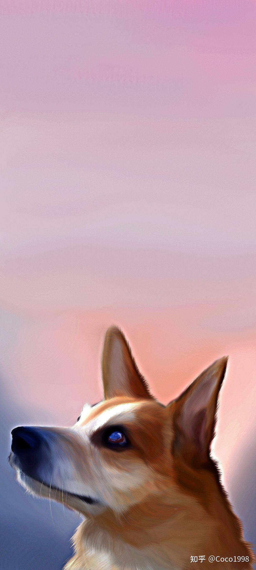 4K全面屏手机壁纸大全 持续更新～ - 知乎