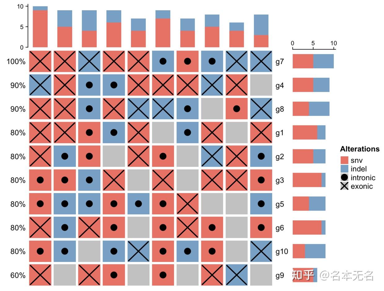 R 数据可视化 —— 聚类热图 ComplexHeatmap(五)oncoprint - 知乎