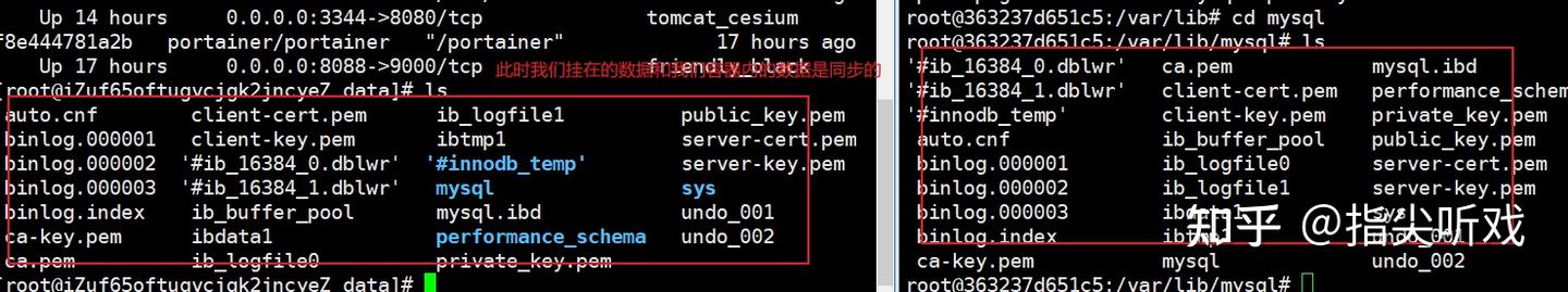 Docker最新超详细版教程通俗易懂(基础版) - 知乎