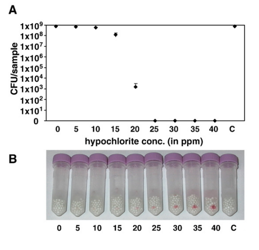PMA的应用 - 知乎