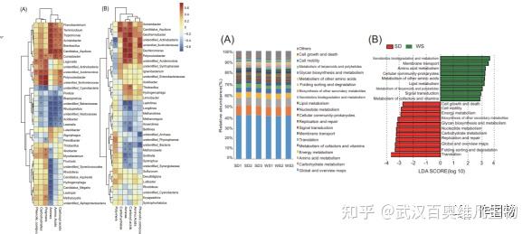 文献解读|利用Biolog EcoPlates 和PICRUSt2分析后期虾池细菌群落功能多样性 - 知乎