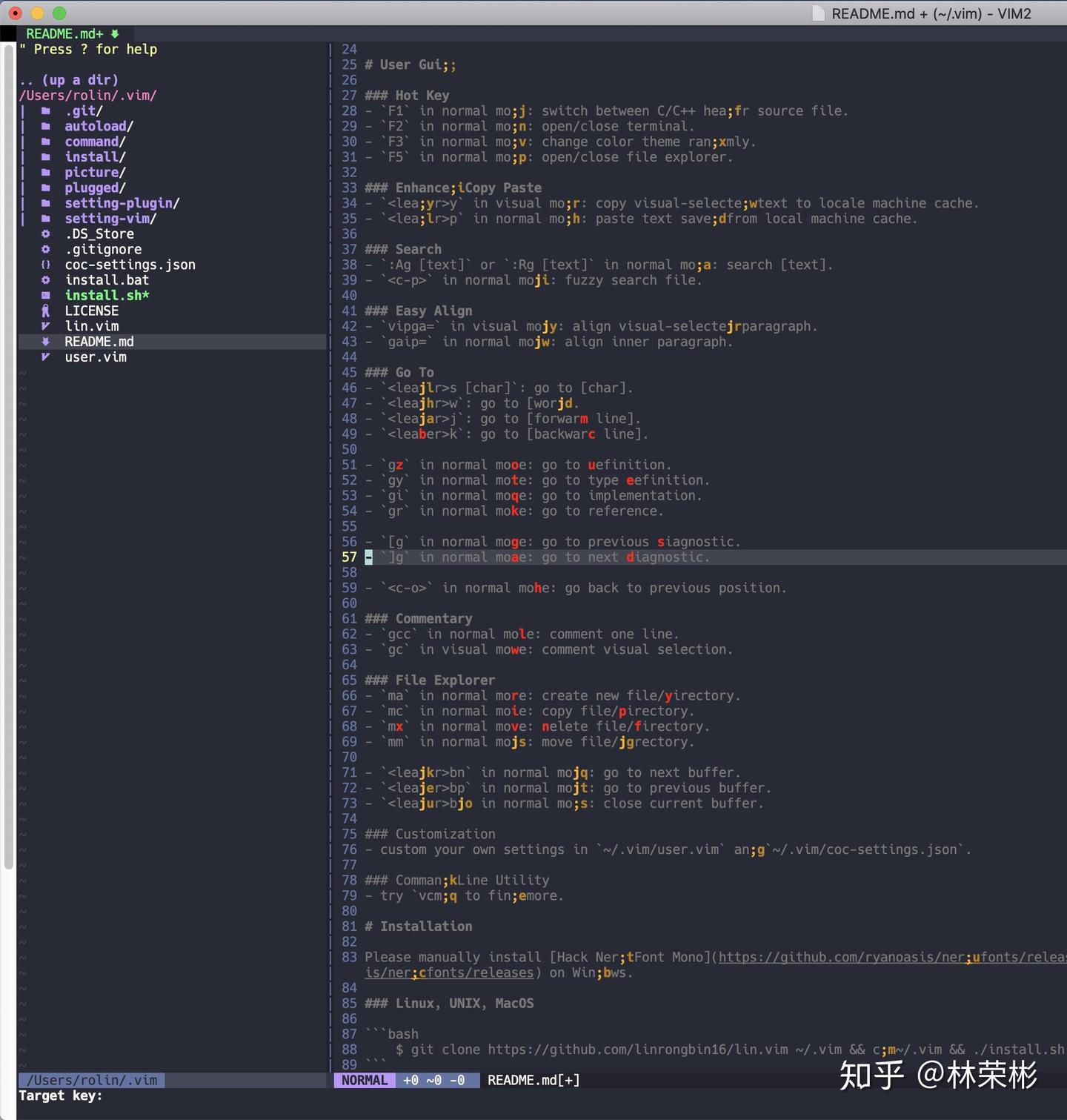 可能是最适合新手的(Neo)Vim开箱即用发行版 - 知乎