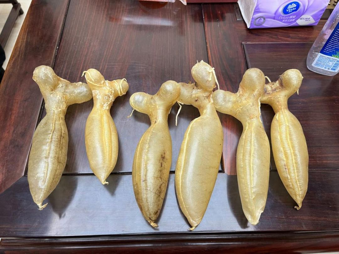 唯一一种国一海鱼，几乎被吃没了，吃的还不是它的肉？ - 知乎