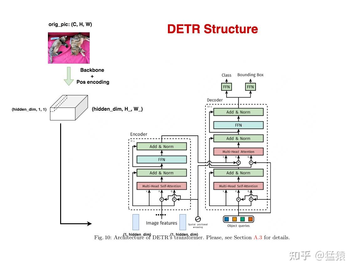 再读deformable detr，还有多少细节是你不知道的 - 知乎