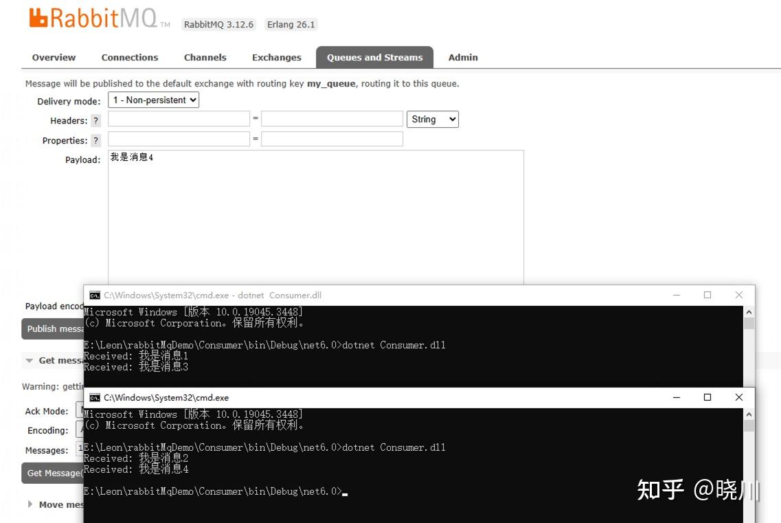 .net6 中使用 RabbitMQ - 知乎
