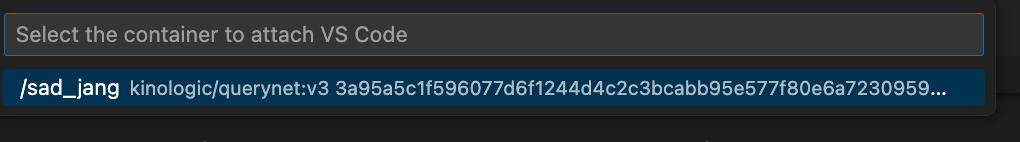 【踩坑记录】vscode+ubuntu+docker+ssh调试remote上的深度学习代码 - 知乎