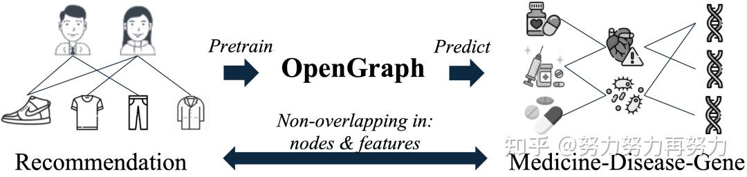 OpenGraph: 通用图大模型 - 知乎