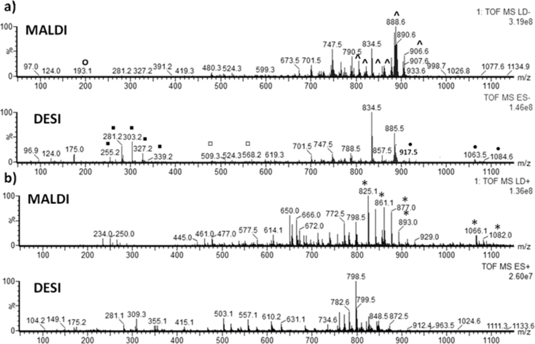 文献速递 | MALDI & DESI两种成像技术在脂质组学中的互补性研究 - 知乎