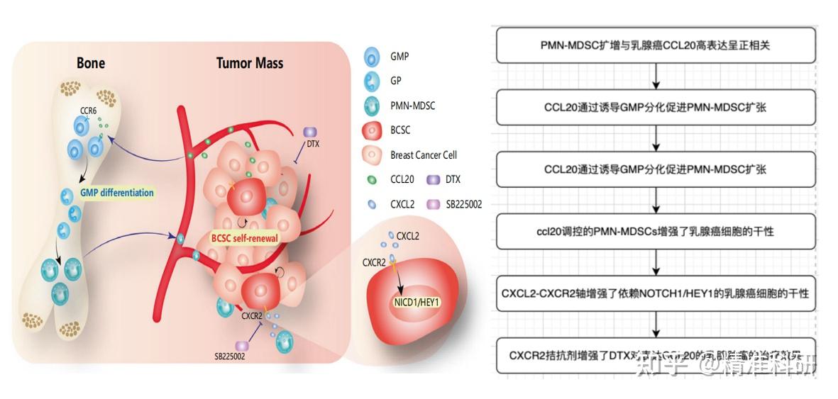 Nature子刊| 38+STTT推荐的科研热点：CCL20 - 知乎