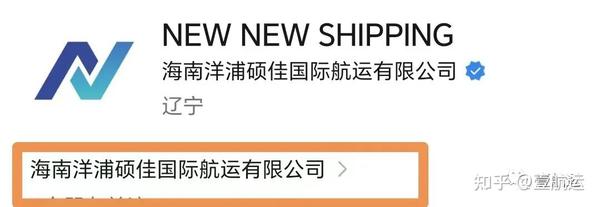 成立不到一年杀入全球船公司50强，起底又彪又神秘新船公司--新新海运丨壹航运 - 知乎
