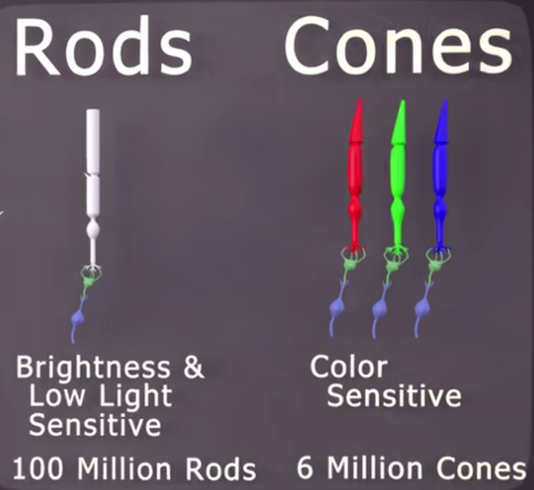 DCT变换和JPEG原理 - 知乎