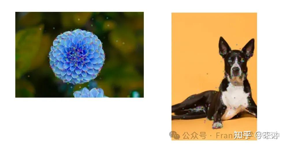 COMP9517 计算机视觉 第三周 - Feature Representation - 知乎