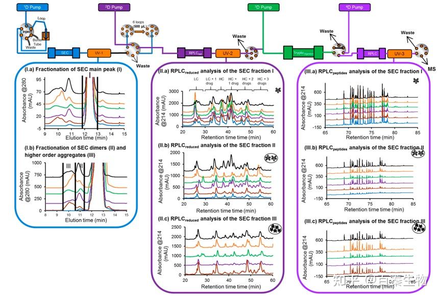 百小蓁课堂丨[文献解析]通过二维及四维LC/MS进行ADC药物的流线型表征 - 知乎
