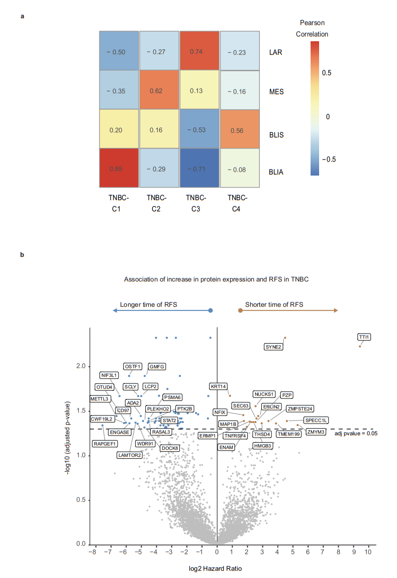 文献解读 | 蛋白质组学分析确定乳腺癌潜在生物标志物和治疗靶点 - 知乎