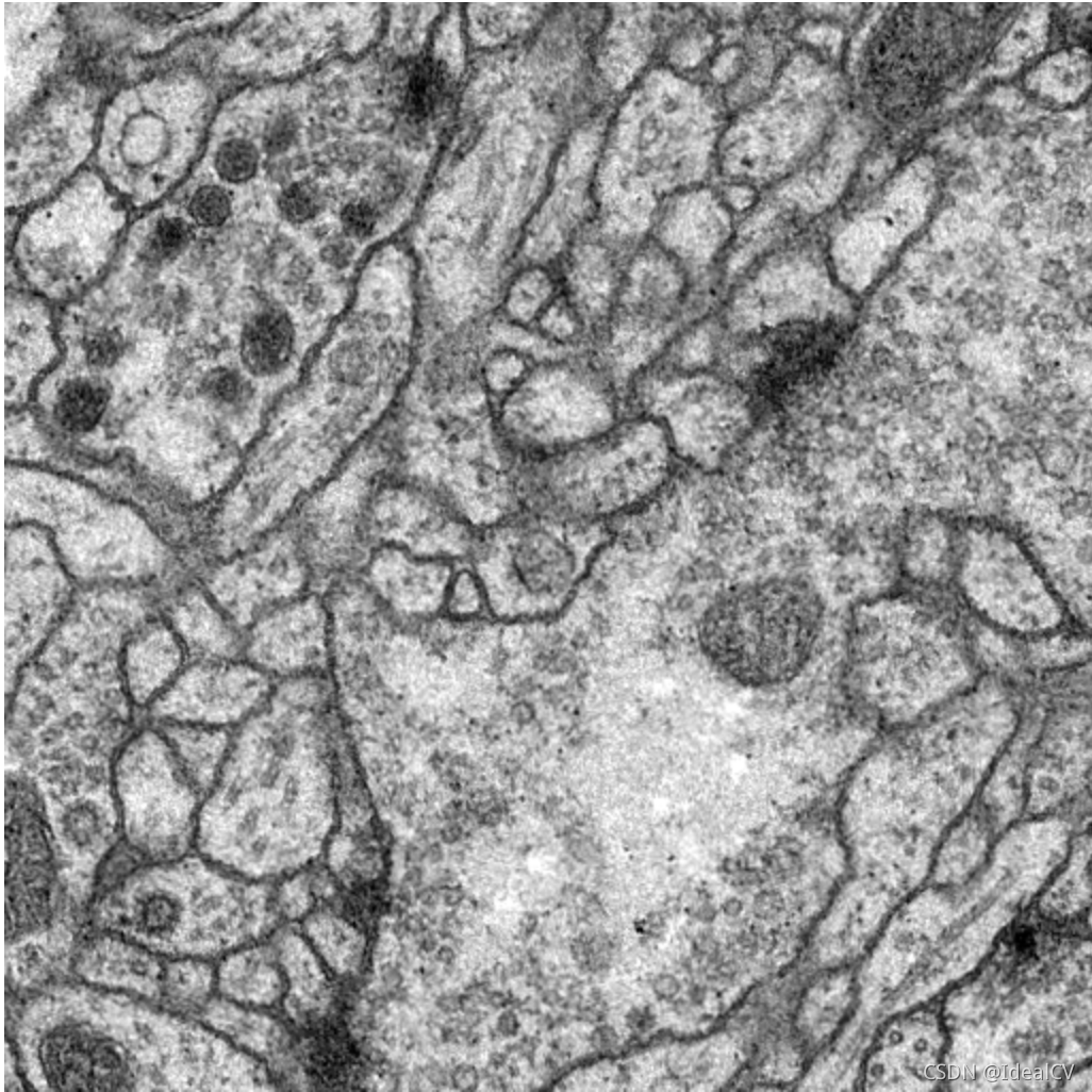 用OneFlow实现基于U型网络的ISBI细胞分割任务 - 知乎