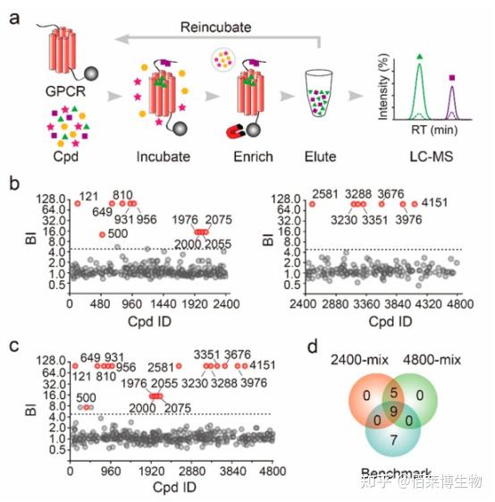 膜蛋白SPR实验：GPCR与化合物互作分析 - 知乎