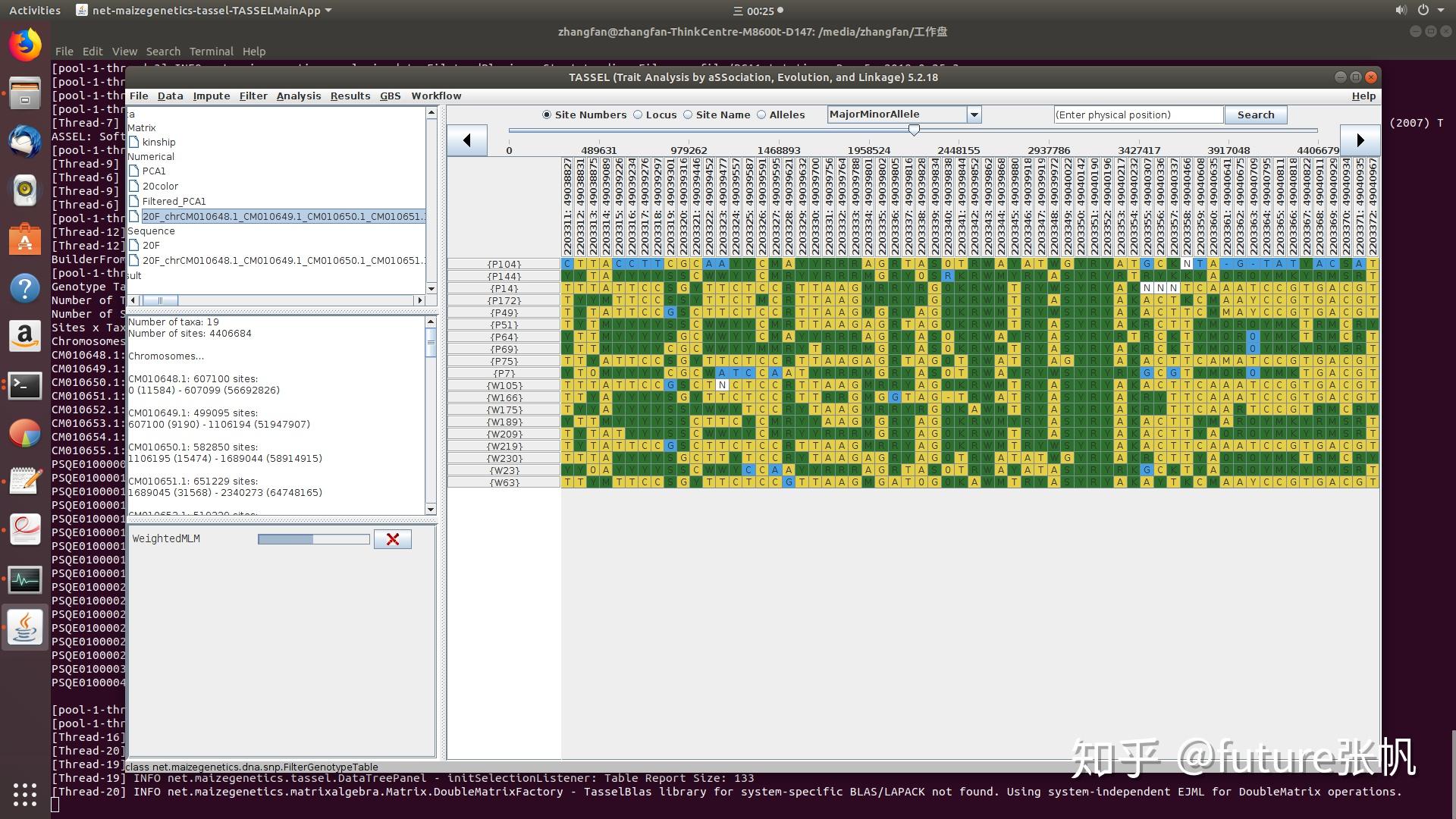 利用Tassel进行GWAS分析 - 知乎