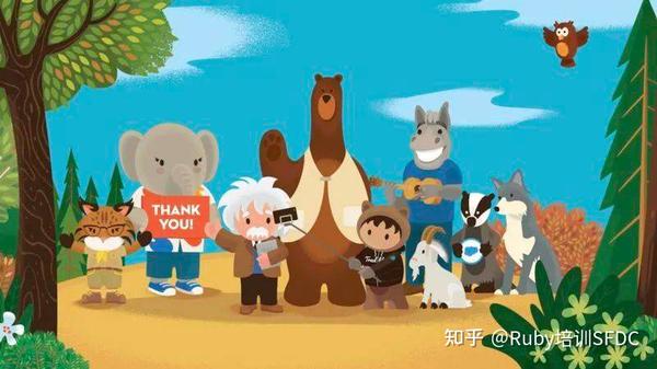 Salesforce顾问如何实现逆袭成为公司CIO？ - 知乎