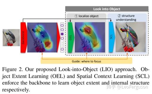 200401-细粒度-自监督-知识蒸馏x2-度量学习-小样本-人脸识别 - 知乎