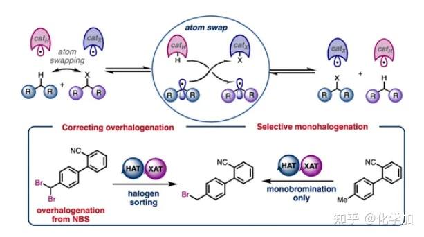 JACS：C-H键和C-X键“交换舞伴”实现C-H官能团化反应 - 知乎