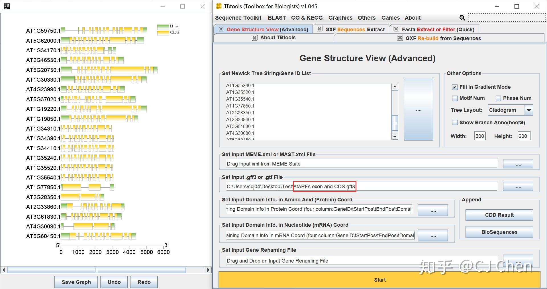 TBtools | 只有序列，怎么做基因结构图? - 知乎