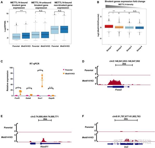 易基因：ChIP-seq等揭示METTL14调控哺乳动物二价结构域的表观遗传机制｜科研进展 - 知乎