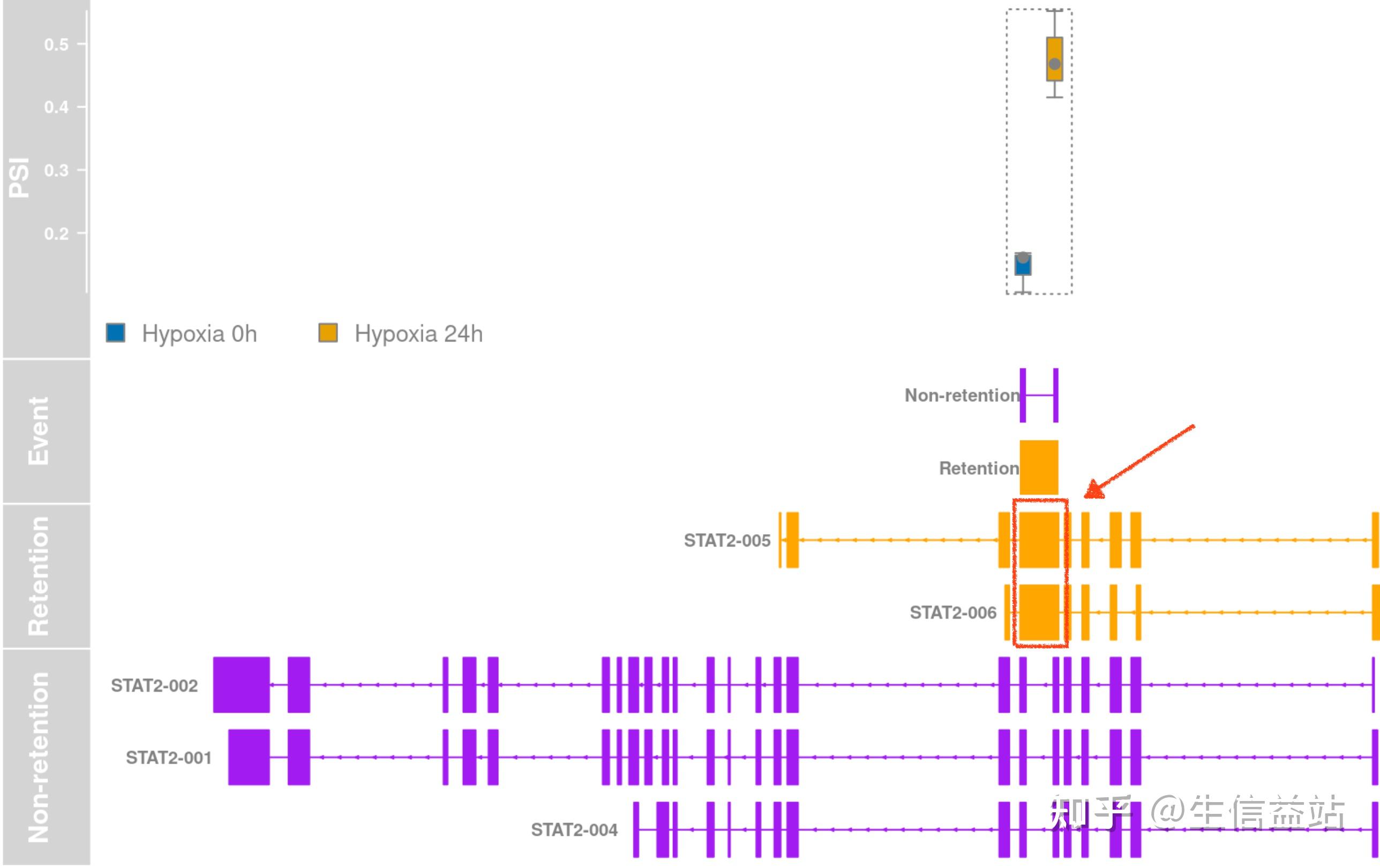 可变剪切如何影响蛋白功能？从rMATS到蛋白功能注释说起... - 知乎