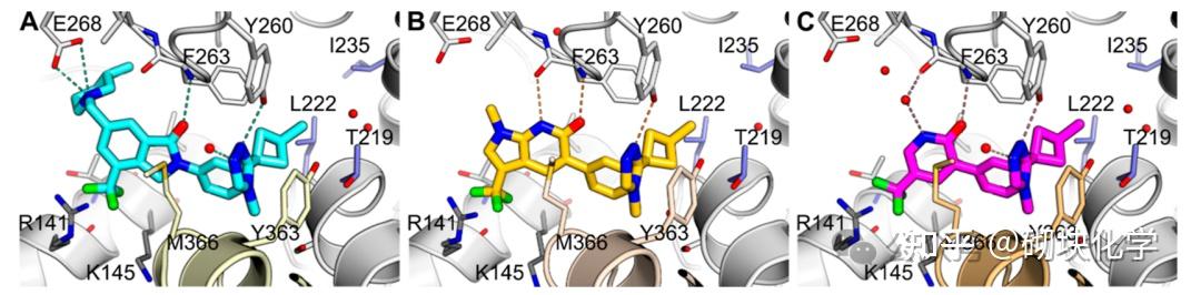 瞭望｜药物发现的奇思妙想：最新Cbl-b 抑制剂 - 知乎