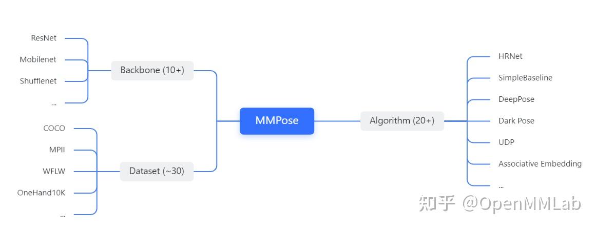 爱上她的 N 个理由！OpenMMLab 姿态估计工具箱：MMPose - 知乎