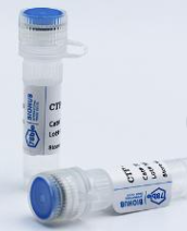 BIOHUB Polyethyleneimine PEI Pro (GMP) 聚乙烯亚胺PEI-Pro(GMP) - 知乎