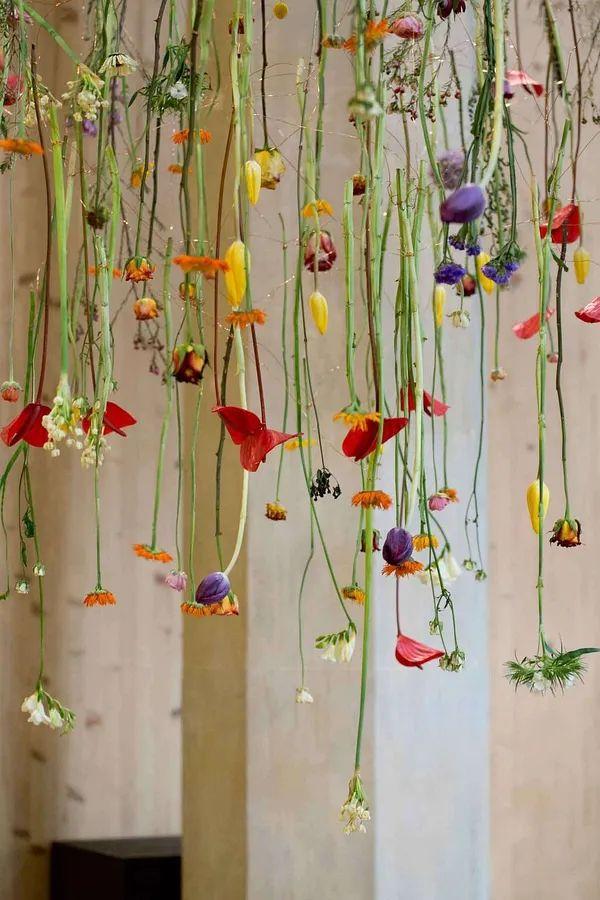 花艺装置艺术家Rebecca Louise Law | 爱马仕的私密晚宴秀翻全场 - 知乎