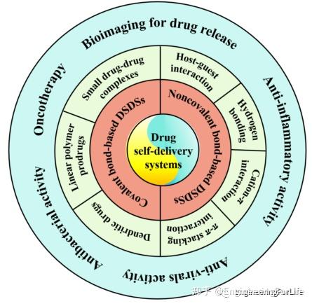 《AHM》综述：药物自给药系统--分子设计、构建策略及生物应用 - 知乎