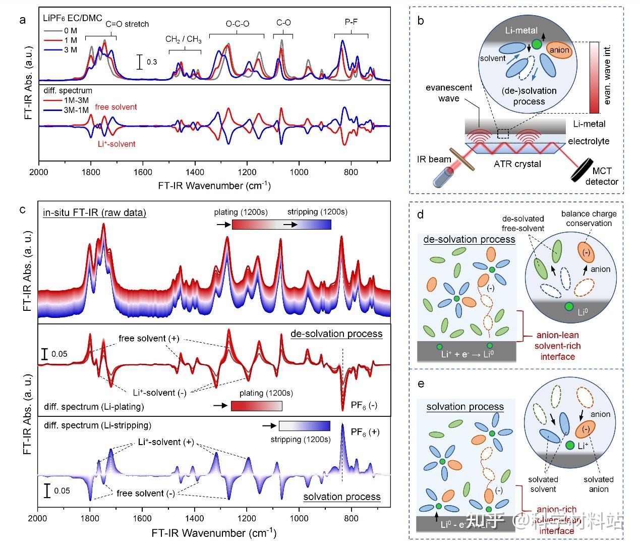 孙世刚院士团队乔羽教授Angew. Chem. Int. Ed.：锂负极去溶剂化过程界面电解液溶剂化构型变化可视化与调控 - 知乎