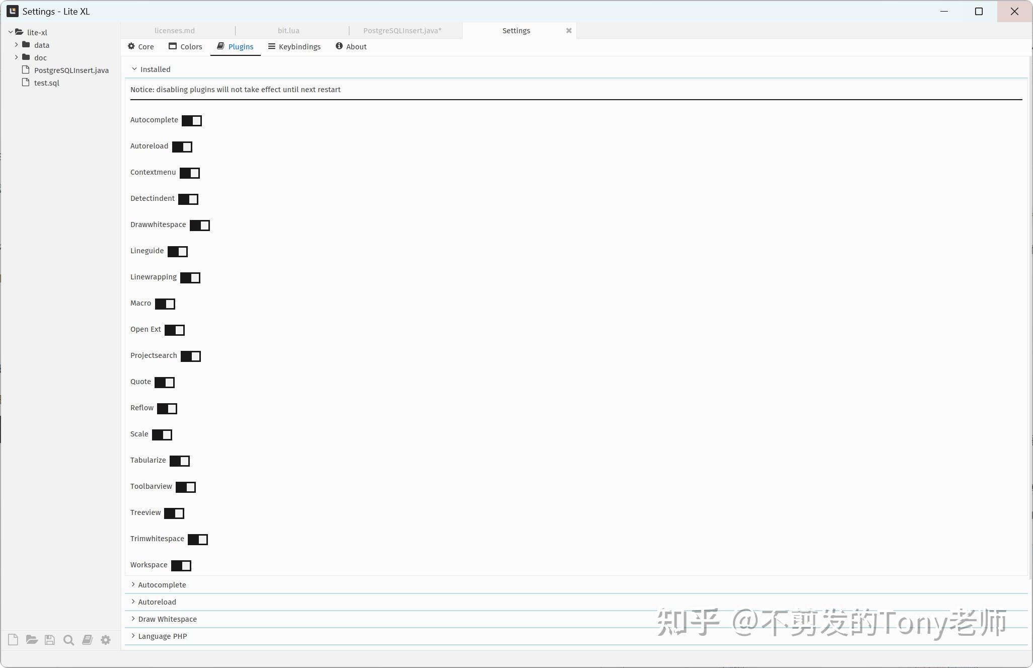 Lite XL：一款高性能、轻量级的开源文本编辑器 - 知乎